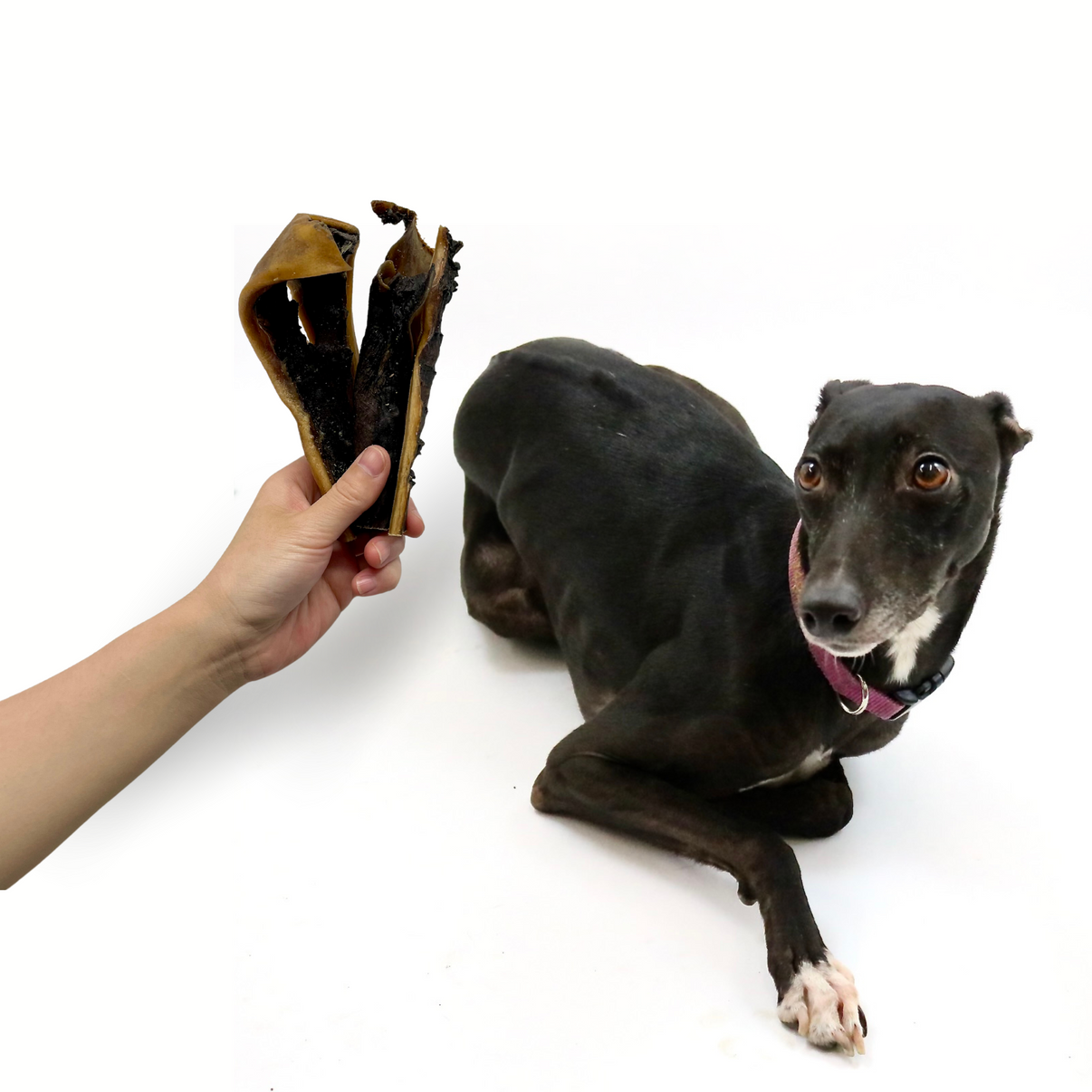 Shop Beef Skin Chews - Cut & Long (1kg & 6kg bags) Online - Pet Treats ...