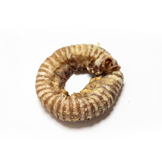 Shop Beef Trachea Rings Online - Pet Treats Wholesale Limited – www ...
