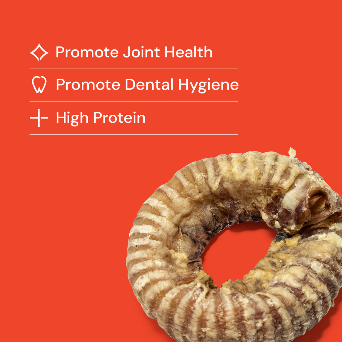 Shop Beef Trachea Rings Online - Pet Treats Wholesale Limited – www ...