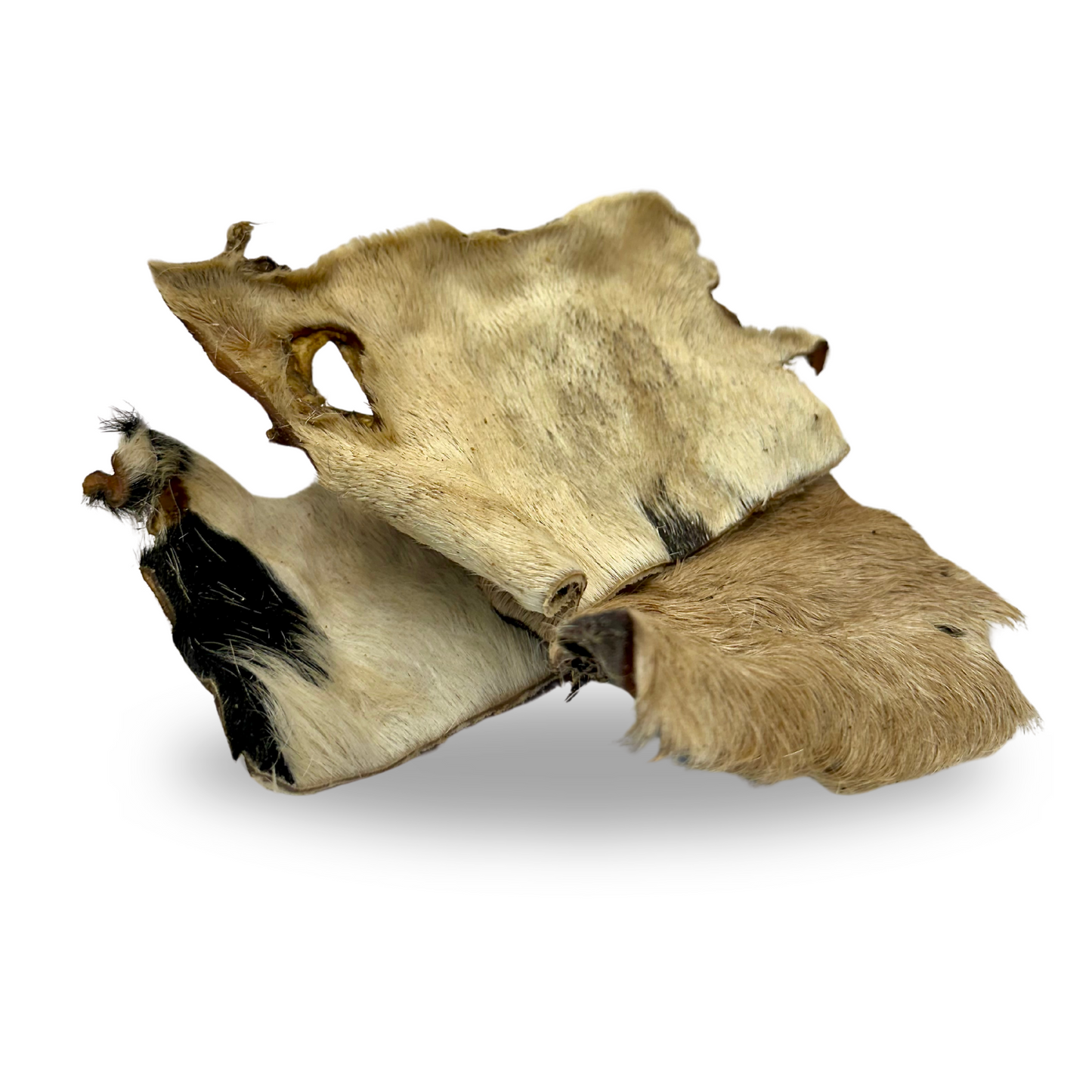 Shop Hairy Beef Bark (3pcs) Online - Pet Treats Wholesale Limited – www ...