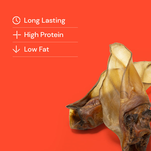 Shop Large Cow Ears (10pcs bag) Online - Pet Treats Wholesale Limited ...