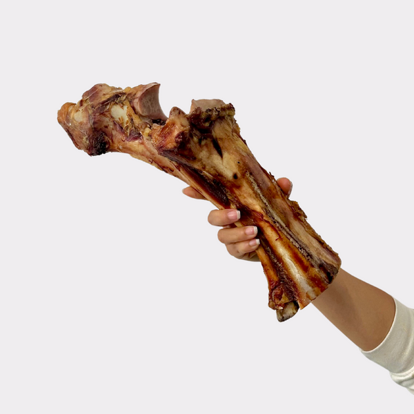 British Postman's Leg Bones (1pc) – www.natural-treats.co.uk