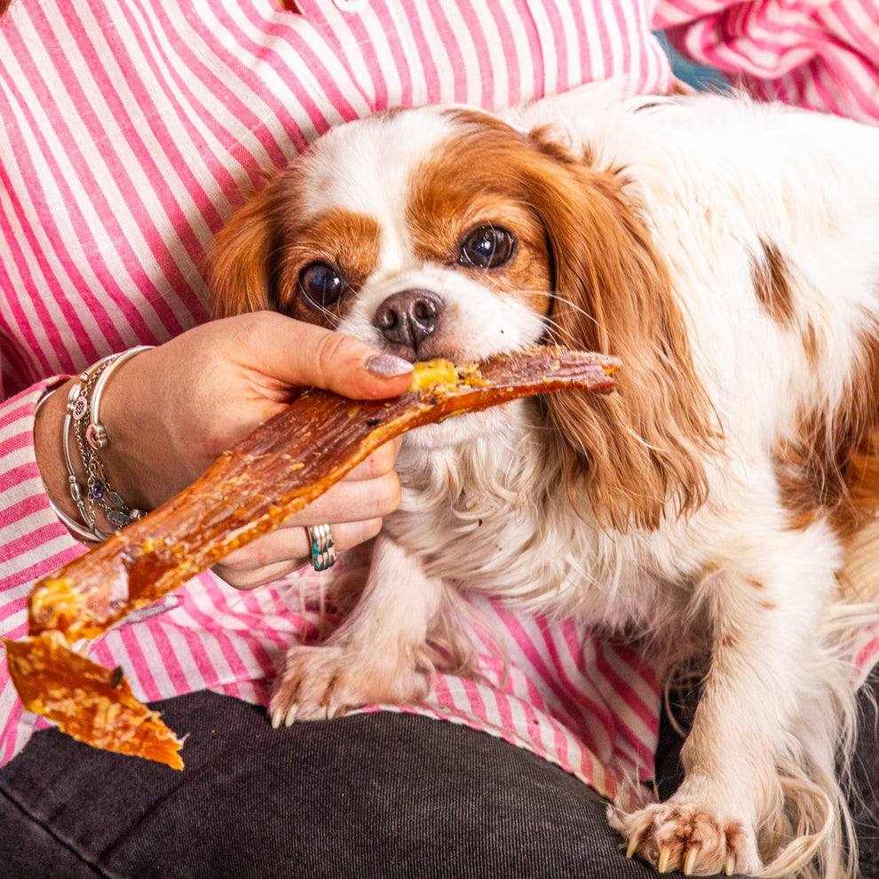 Shop Paddy Wack (1kg bag) Online - Pet Treats Wholesale Limited – www ...