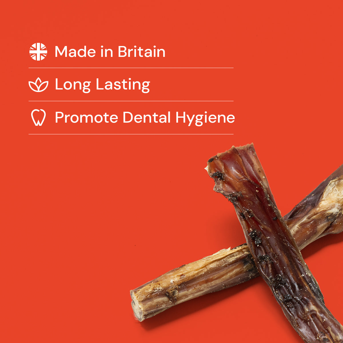 Shop 24cm Extra Long Pizzles (Bully Sticks) (1kg bag) Online - Pet ...