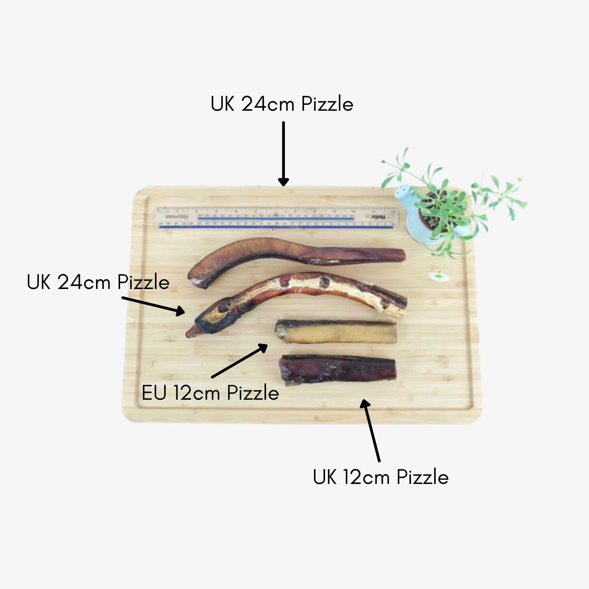 Shop 24cm Extra Long Pizzles (Bully Sticks) (1kg bag) Online - Pet ...