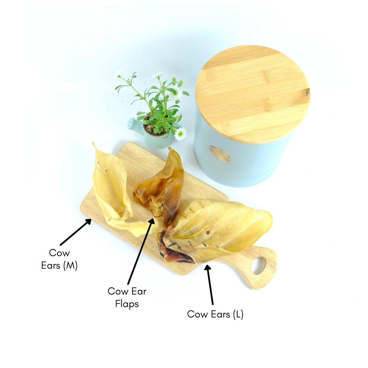 Shop Large Cow Ears (10pcs bag) Online - Pet Treats Wholesale Limited ...